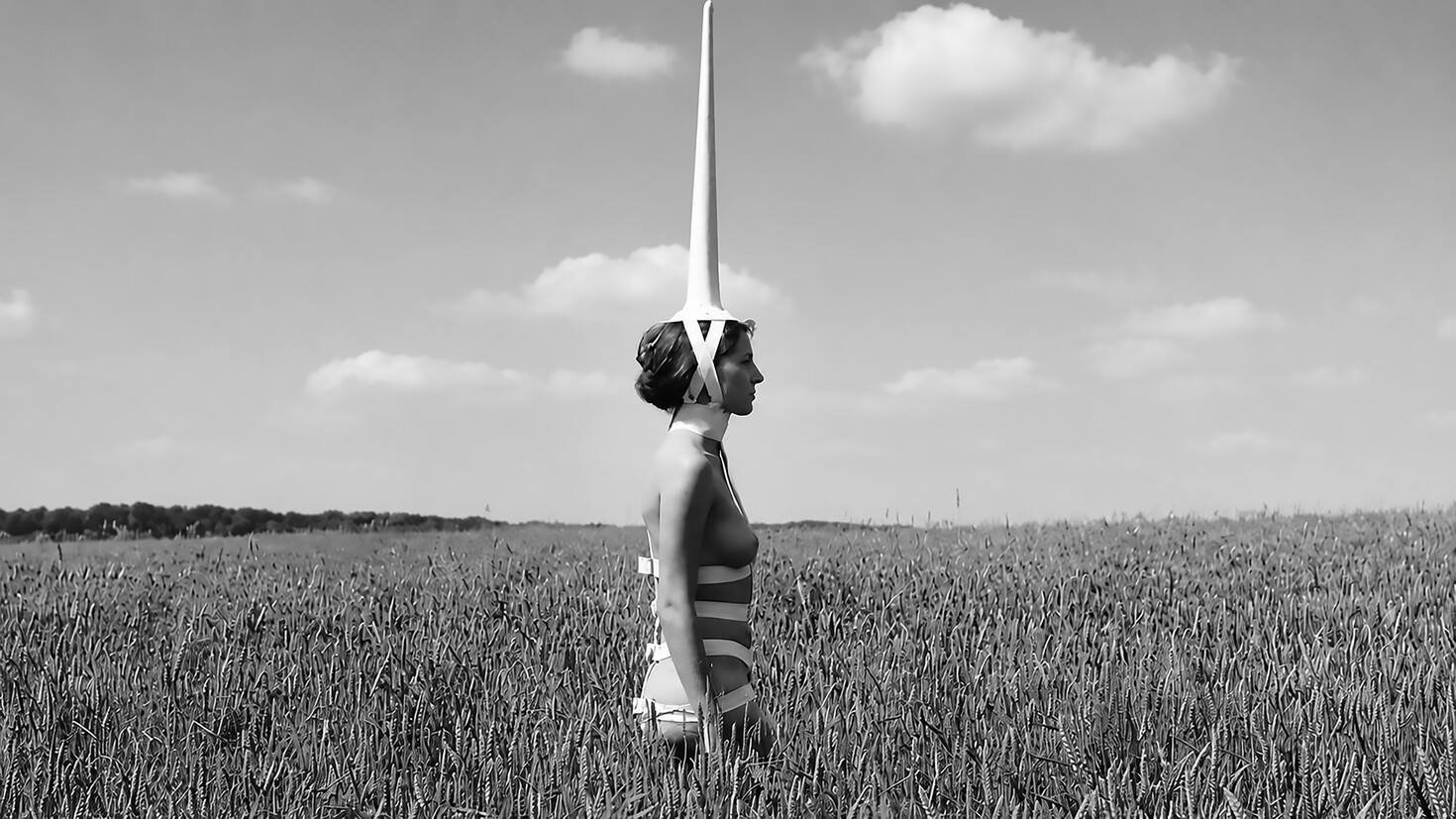Embodied practices in contemporary art | Meer