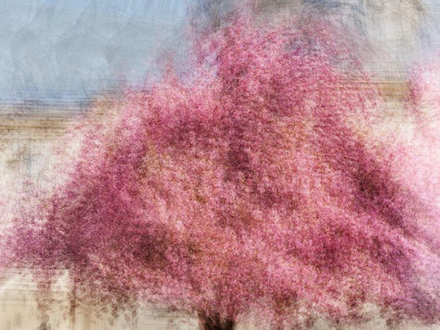 Jacob Gils' exhibition | Meer