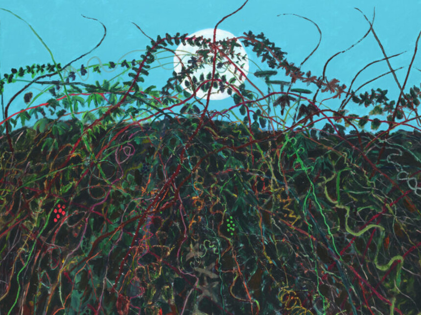 Kim Chong Hak, painter of Seoraksan | Meer