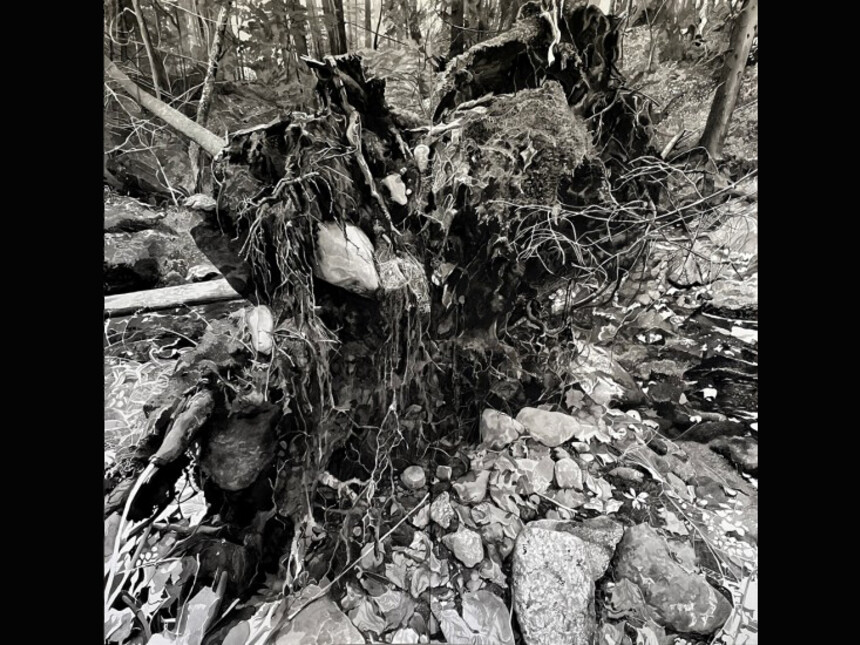Chris Doyle. You should lie down now and remember the forest | Meer