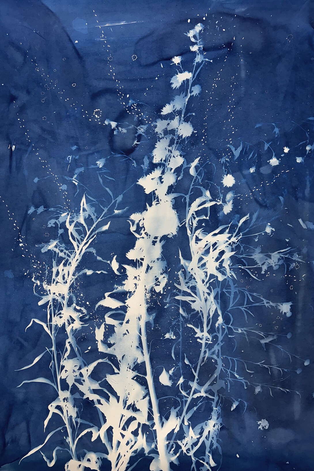 Christine Nguyen and Chris Oatey. Indexing nature | Meer