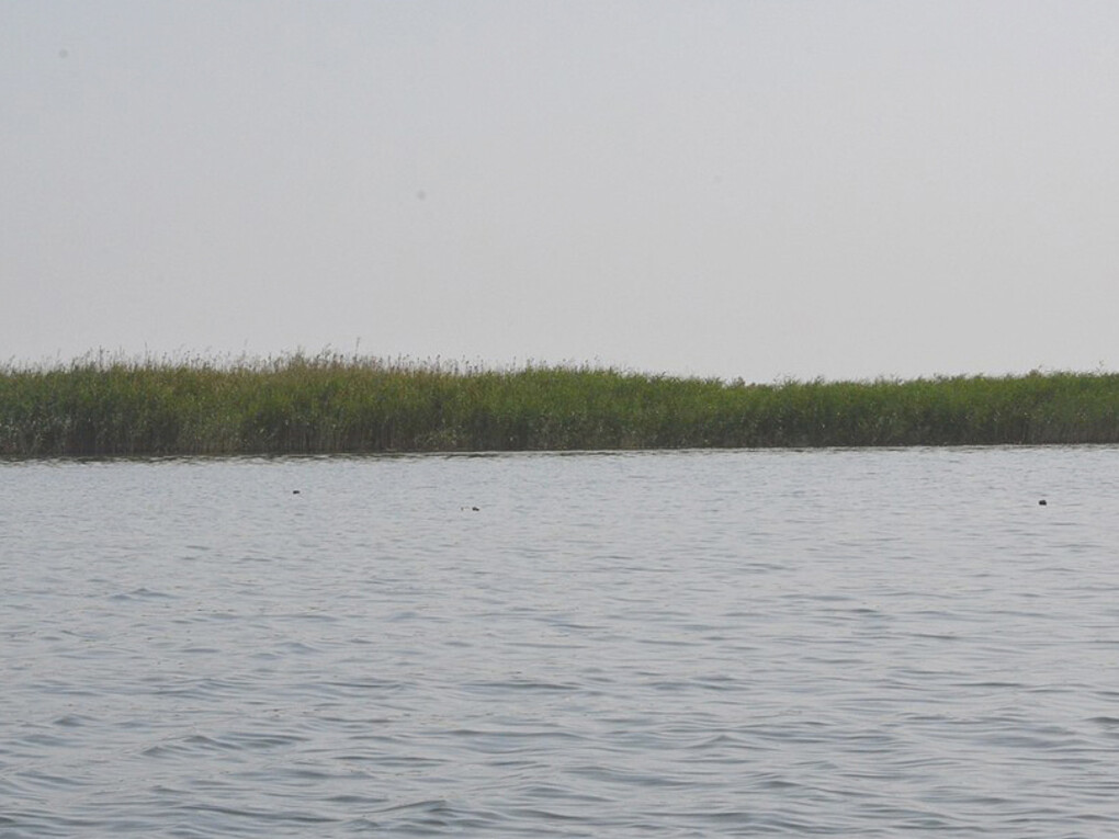 The Marshes and "Marshmen" of Southern Iraq | Meer