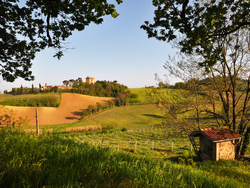 Tratt tour: a piedi tra le vigne e le mani di Romagna | Meer