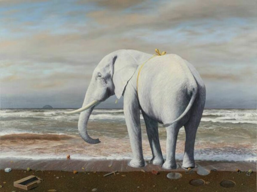 Gordon Mitchell | Meer