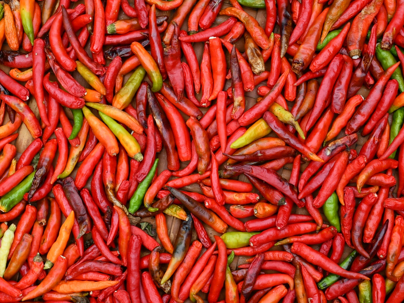 Pepper X: consideraciones sobre una salsa picante | Meer