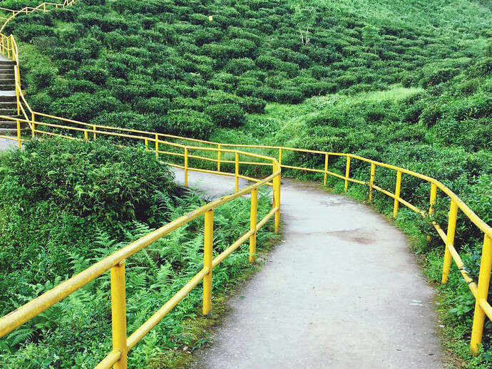 Ilam, Nepal: a blend of land, culture, and economy | Meer